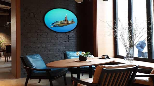 Round LCD Advertising